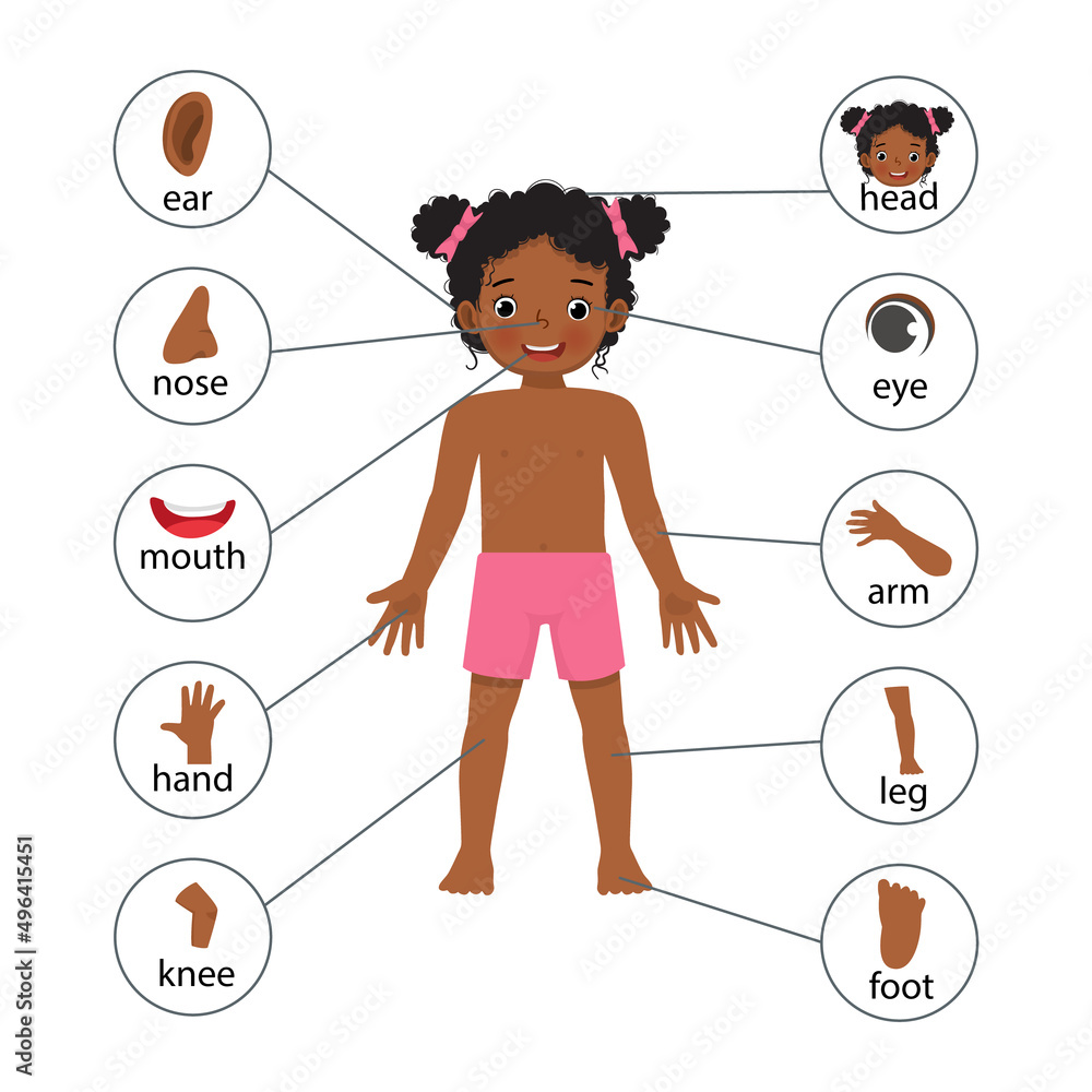 little African girl illustration poster of human body parts with ...