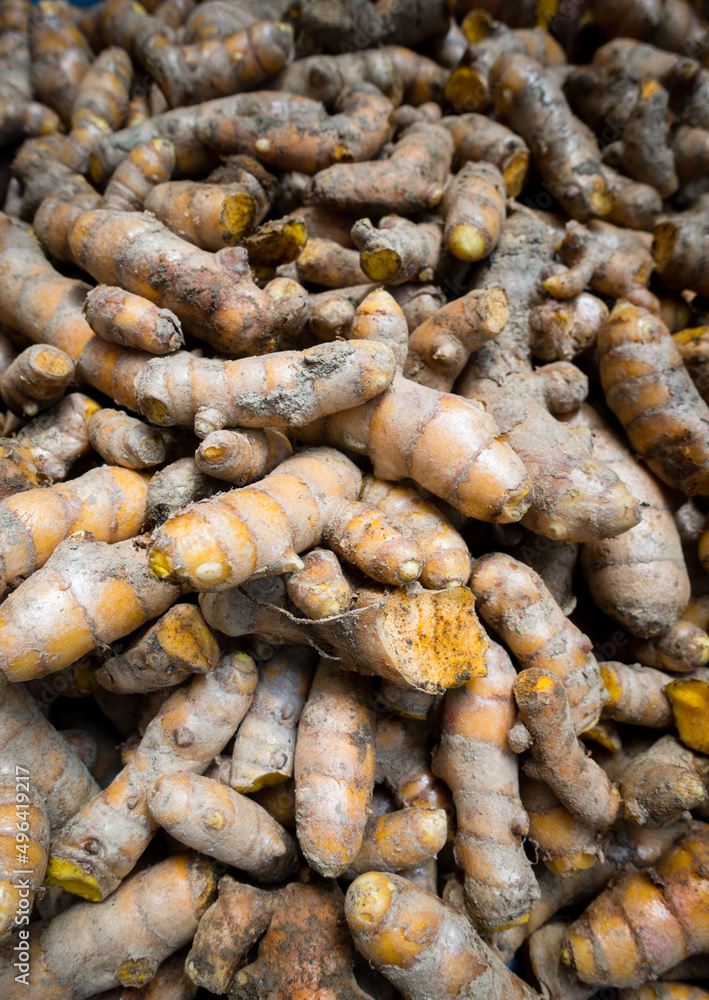 A close up shot of turmeric root . Turmeric is a common spice that ...