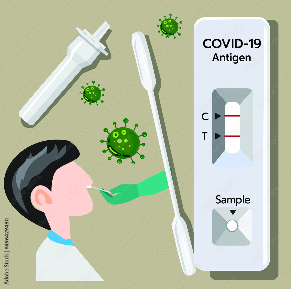 Vector illustration of COVID-19, Antigen test kit (ATK) with results on ...