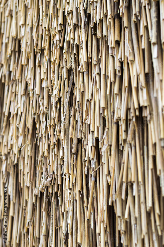 Thatched roof. Thatched roof texture. Straw texture. Stock Photo ...