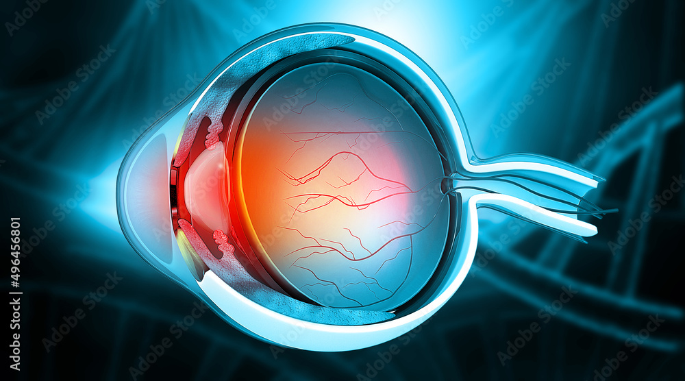 Human eye anatomy on scientific background. 3d illustration. Stock ...