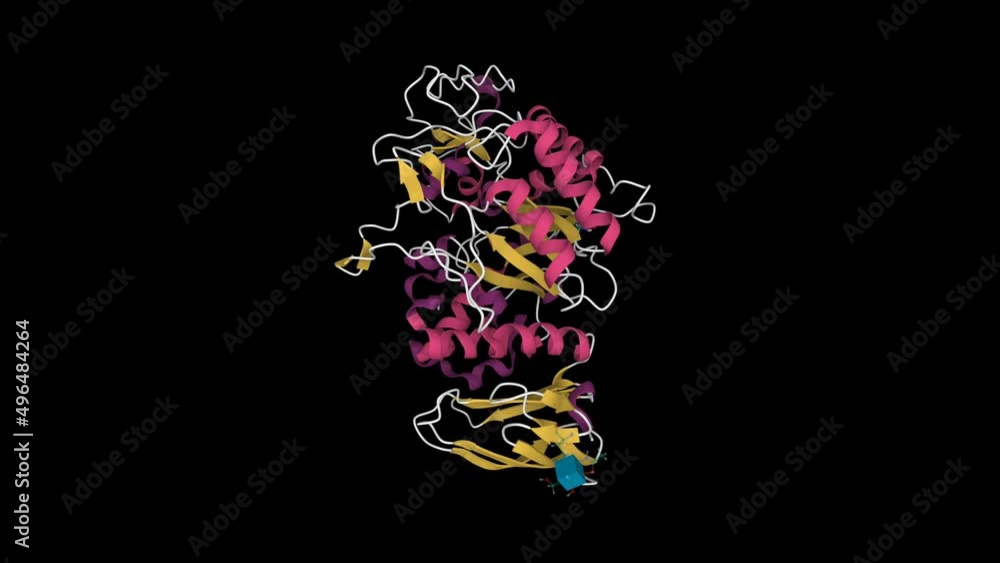 Crystal structure of human pancreatic alpha amylase. Animated 3D ...