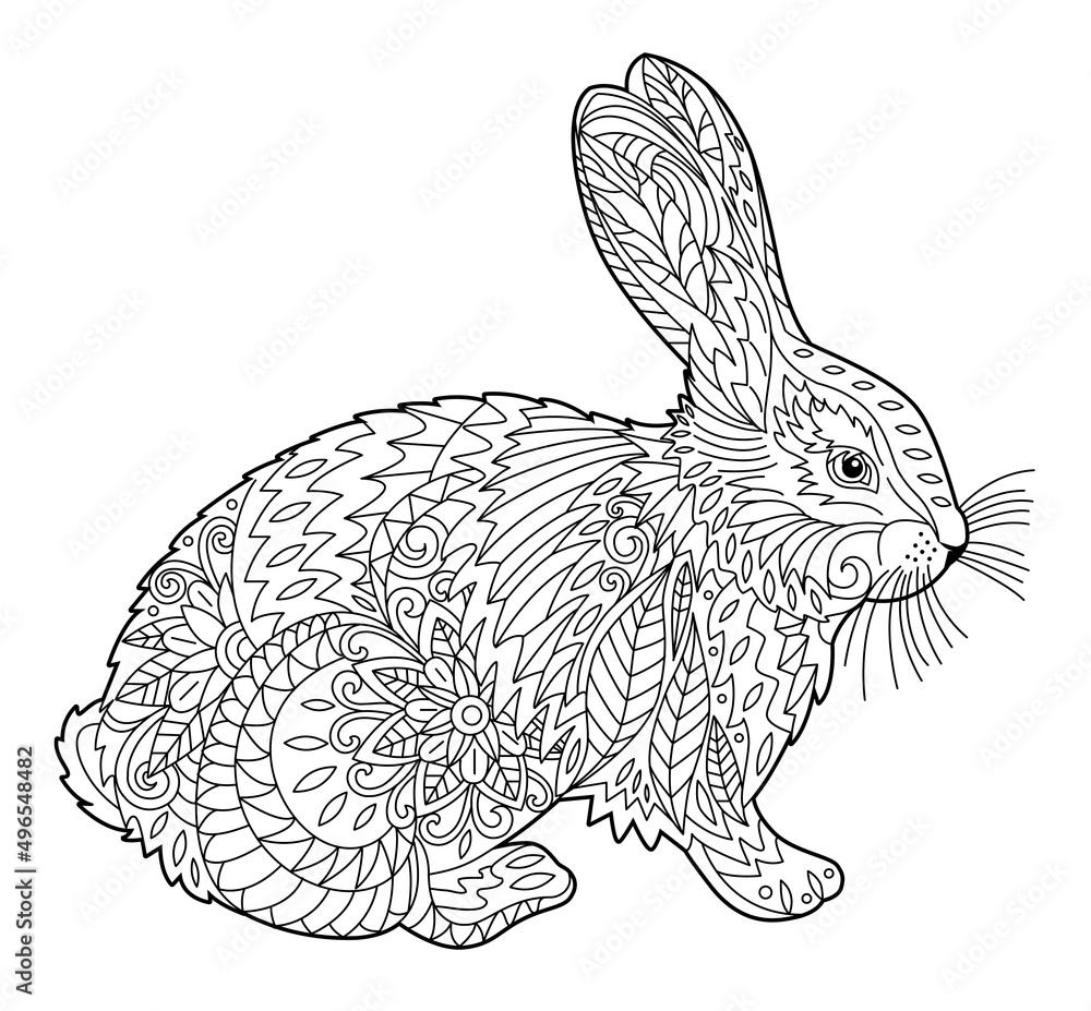 Rabbit Coloring Book Pages
