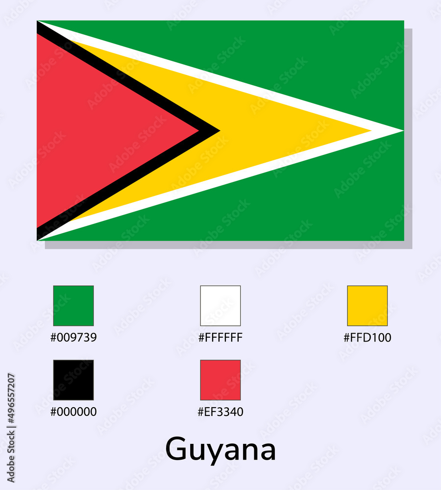 Vetor de Vector Illustration of Guyana flag isolated on light blue ...