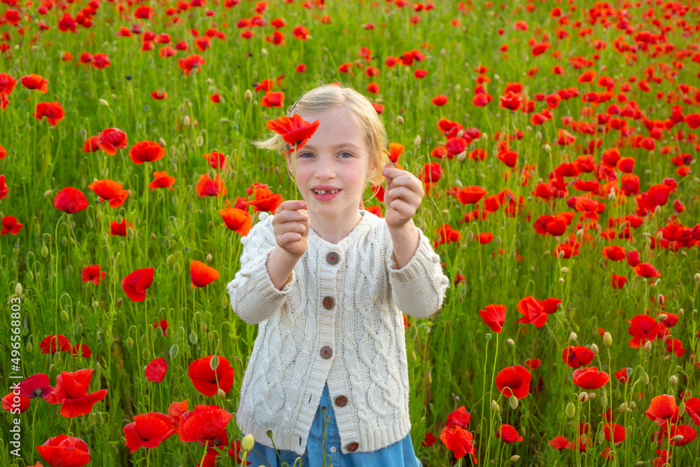 Cute child girl in poppy field. Little girl play outdoor in poppy field ...