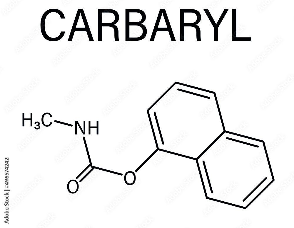 Carbaryl (carbaril) insecticide molecule (carbamate class). Skeletal ...