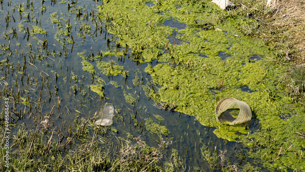 Non-recyclable plastic bottle on the surface of a dirty pond. Concept ...