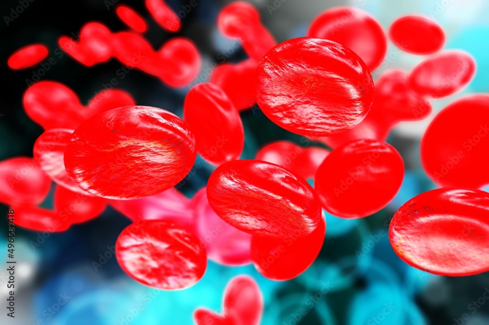 Red blood cells, red cells, red blood corpuscles, haematids, erythroid ...