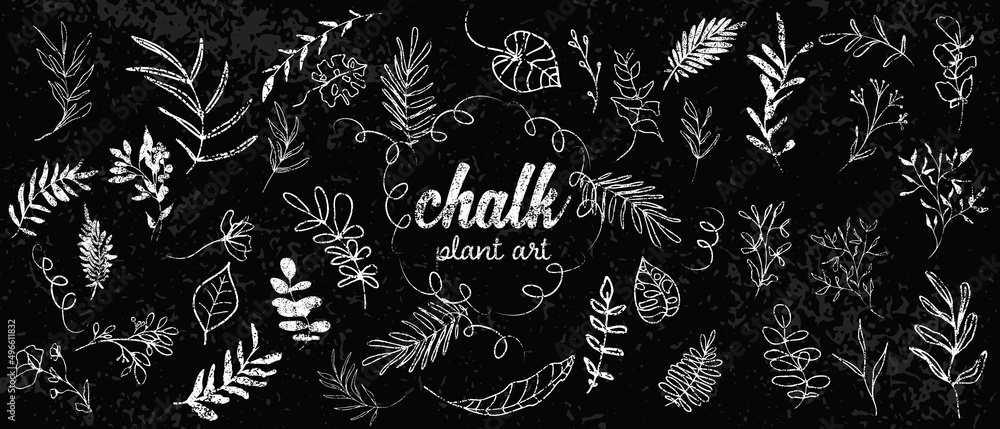 Chalk plant art set. Individual design elements for your own project ...