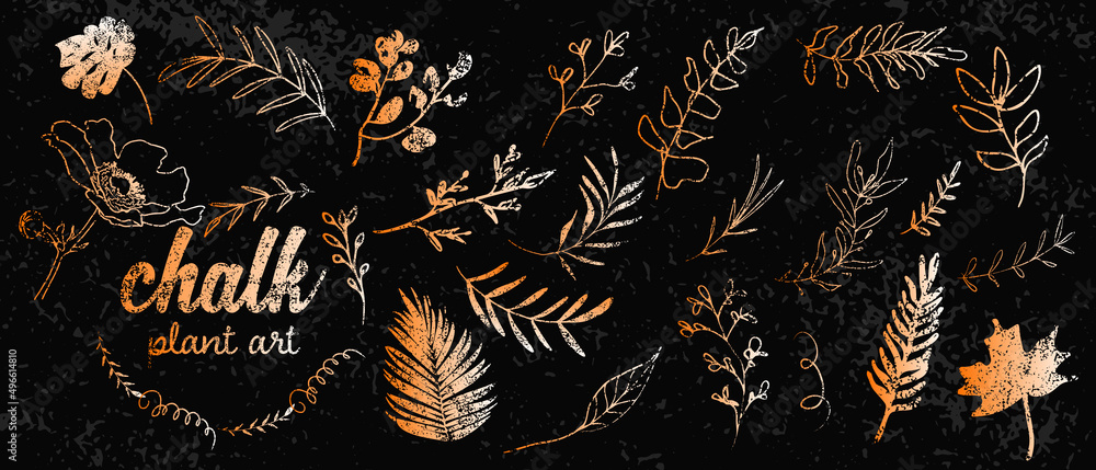 Chalk plant art set. Individual design elements for your own project ...
