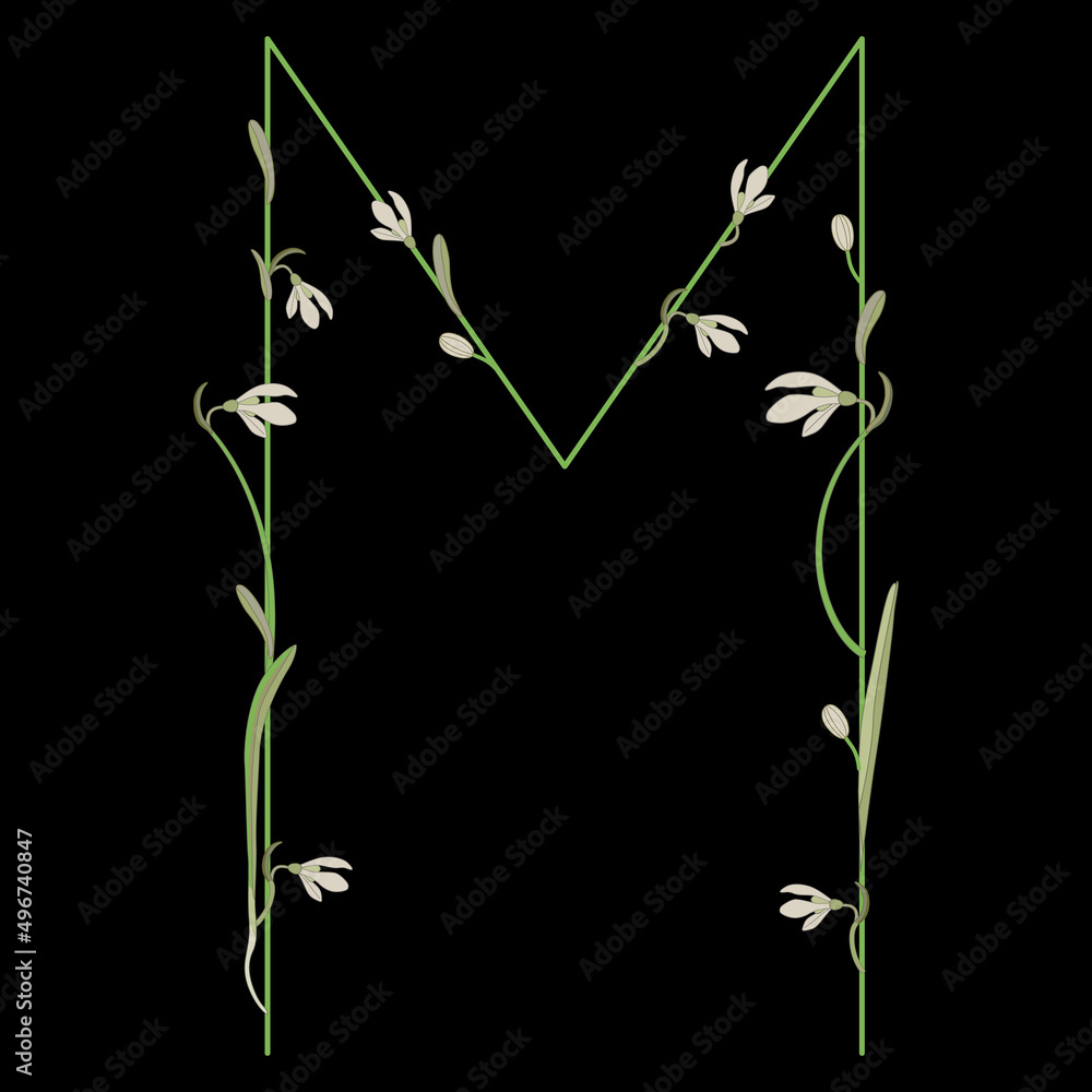 Beautiful letter M with blooming branches of snowdrop flower (Galanthus ...