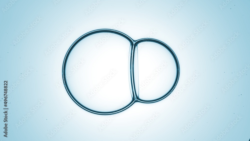 Macro shot of two bubbles connedted each to other creating a bubble ...