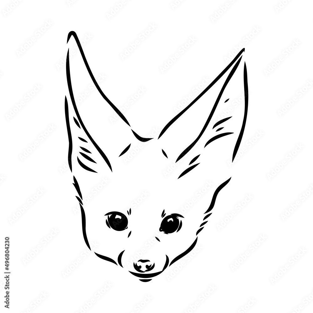 Vector illustration of a young fennec fox walking. fox fenek vector ...
