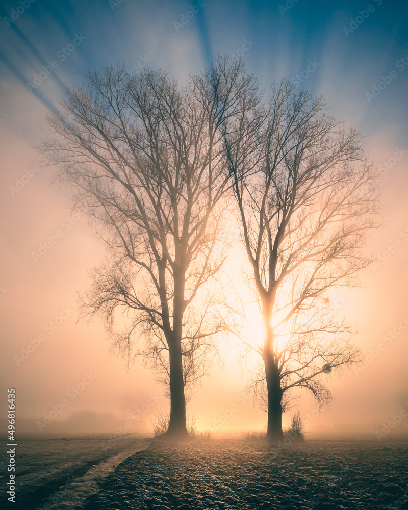 Foggy Weather