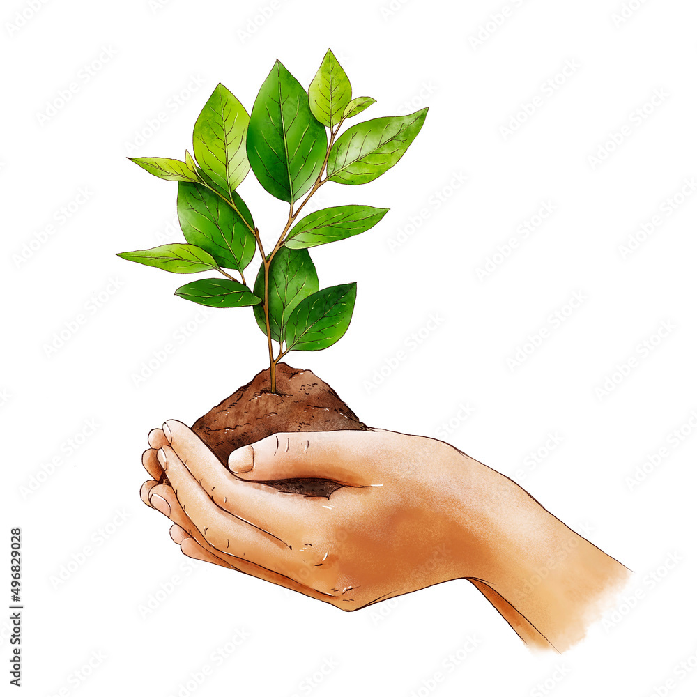 Watercolor Environment Day. Hands holding small tree for planting ...