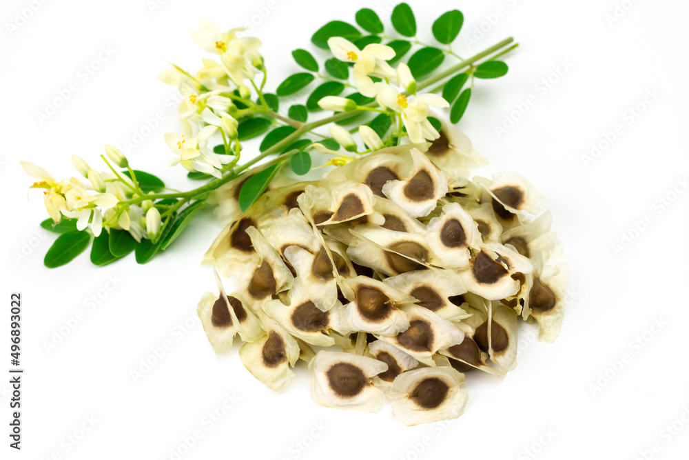 Pile of Moringa seed and moringa flower with leaf isolated on white ...