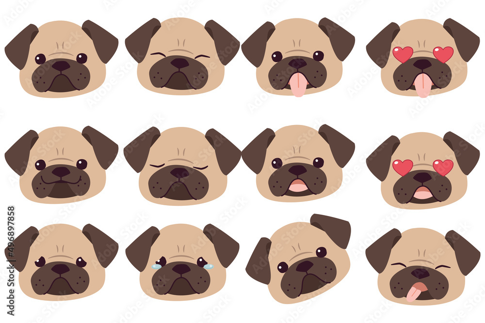 Set of Pug dog emotions. Funny Smiling and angry, sad and delight dog ...