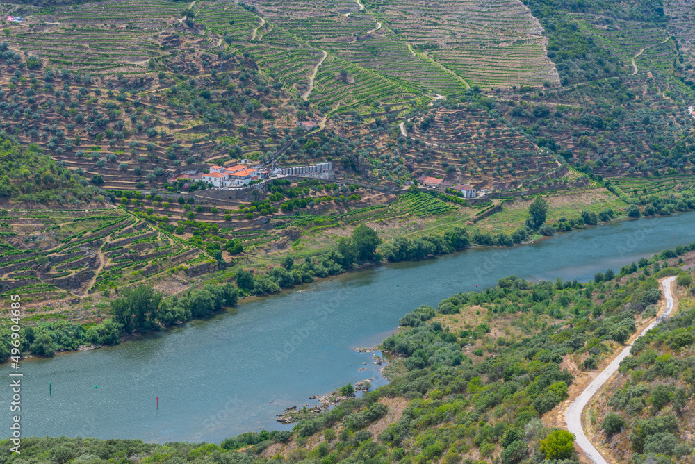 Picturesque panorama of Douro valley near Miradouro de Sao Salvador do ...