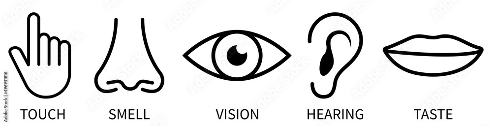 Set of five human senses icons. Collection of outline symbols. Vision ...