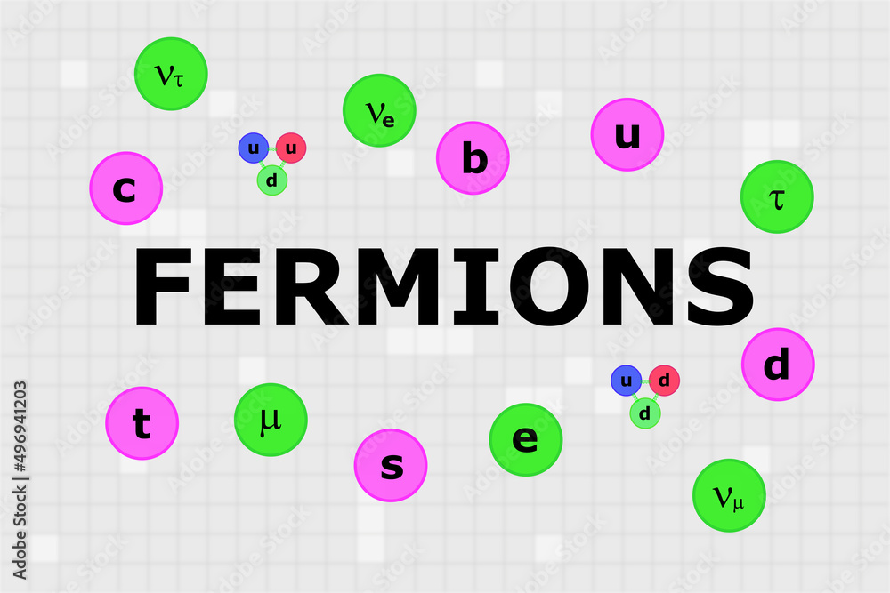 Name of major group in Standard Model called fermions in the center ...