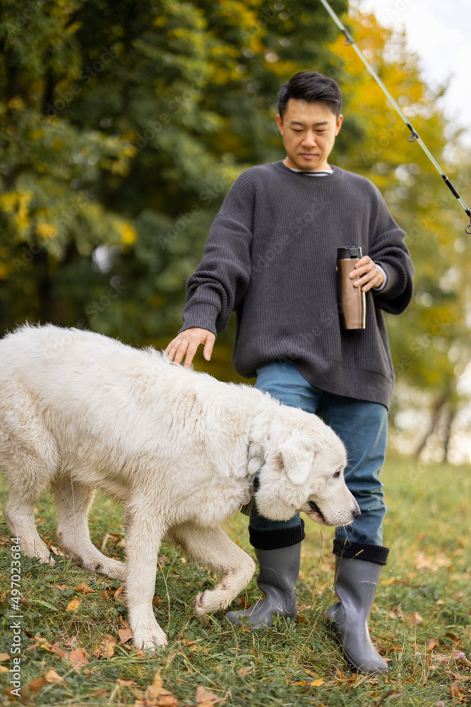 Pleased asian man caressing his Maremmano-Abruzzese Sheepdog standing ...