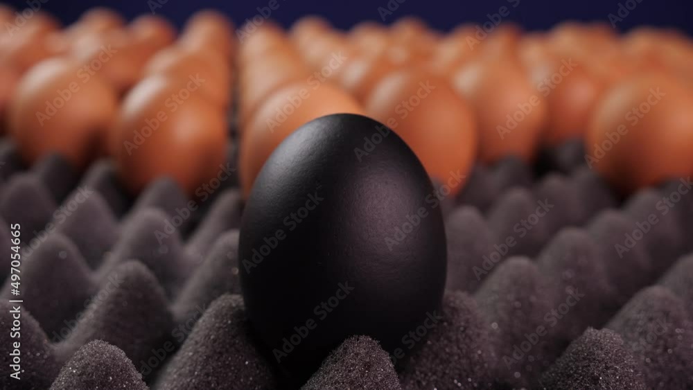 Leader concept. Camera slowly revolve around black egg leading crowd of ...