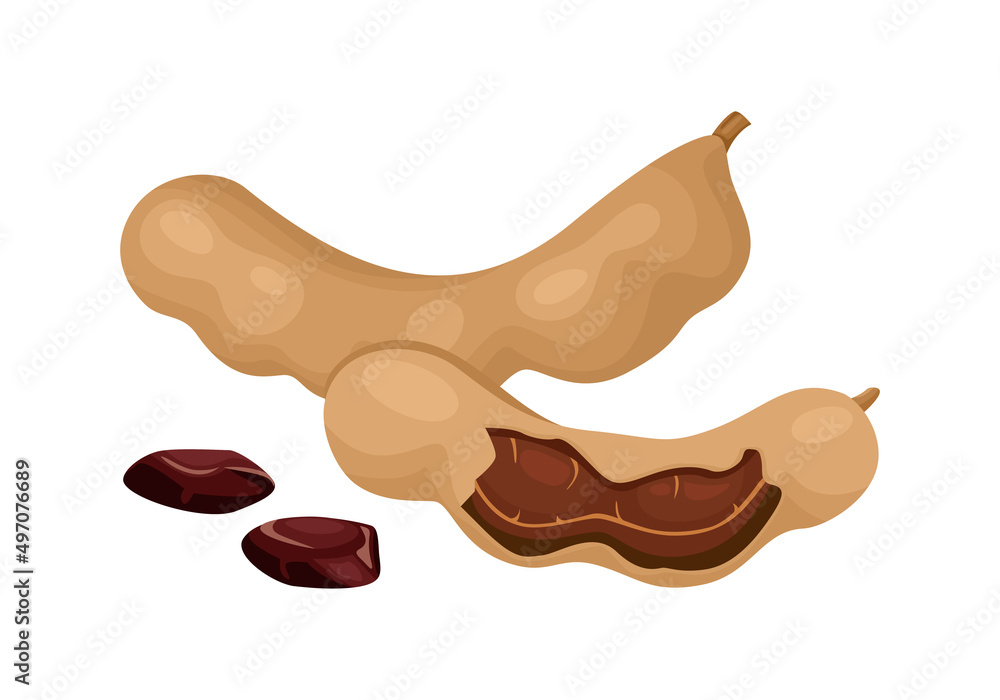 Tamarind isolated on white background. Vector cartoon flat illustration ...