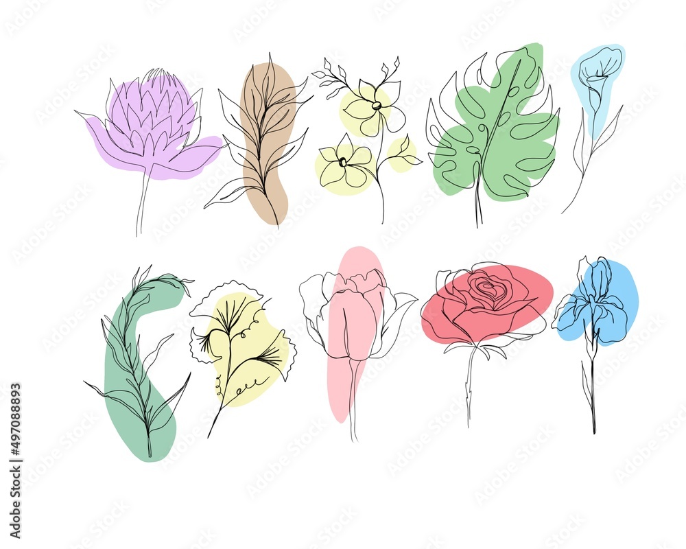 line art drawing of flowers. big set of line art of flowers and plants ...