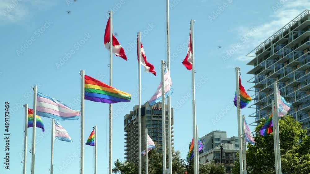 Gay Pride and Trans Pride Flags Vancouver 4K UHD. Rainbow colored Gay ...