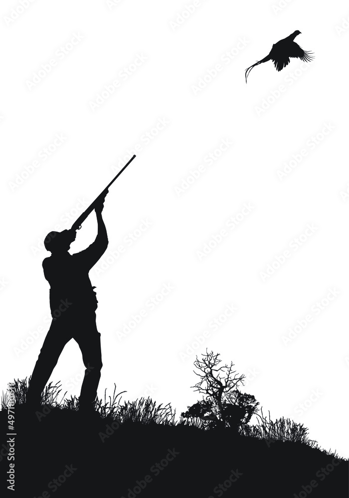 Vector silhouette of an adult male hunting upland game (pheasant ...