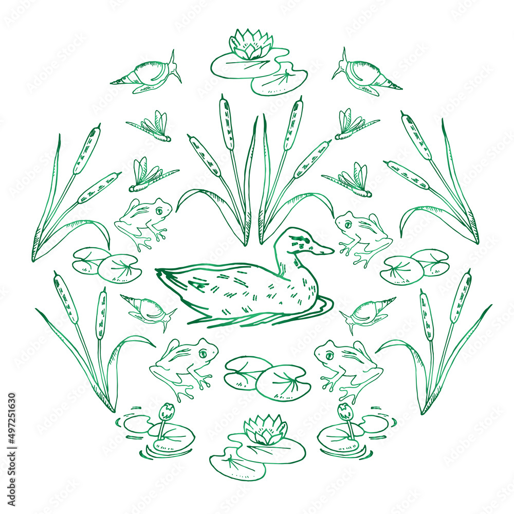 Vector doodle set of the inhabitants of the pond, swamp on a white ...