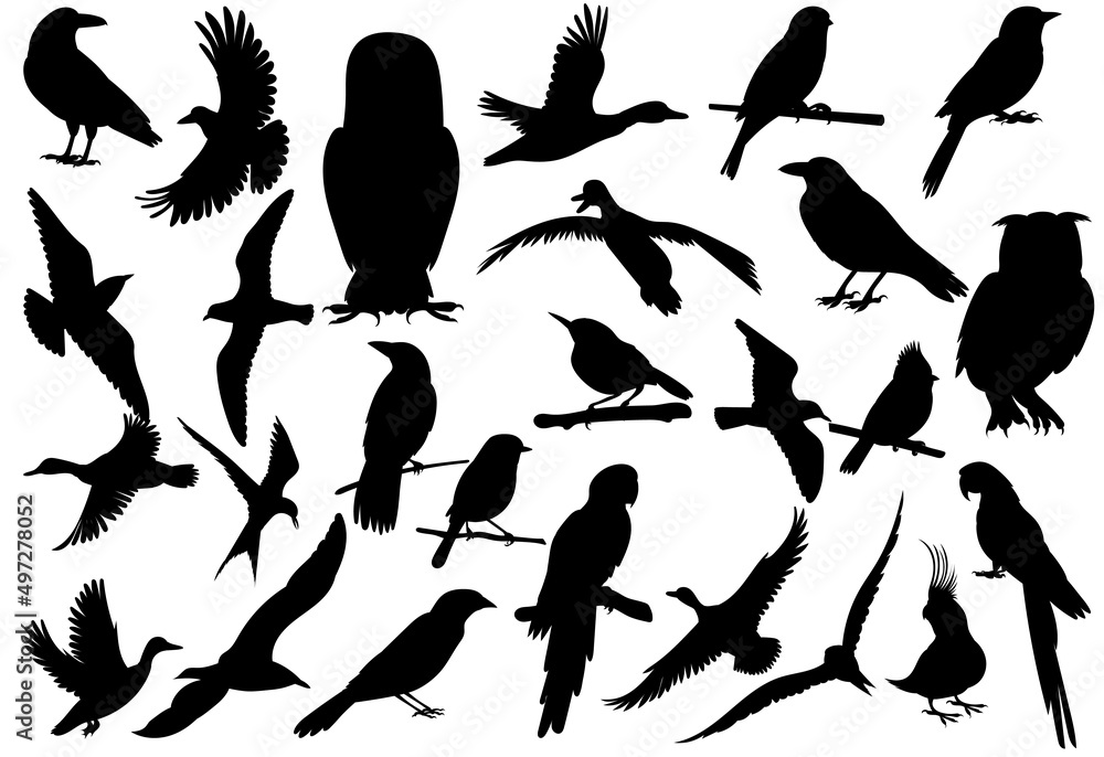birds set black silhouette, isolated vector Stock Vector | Adobe Stock