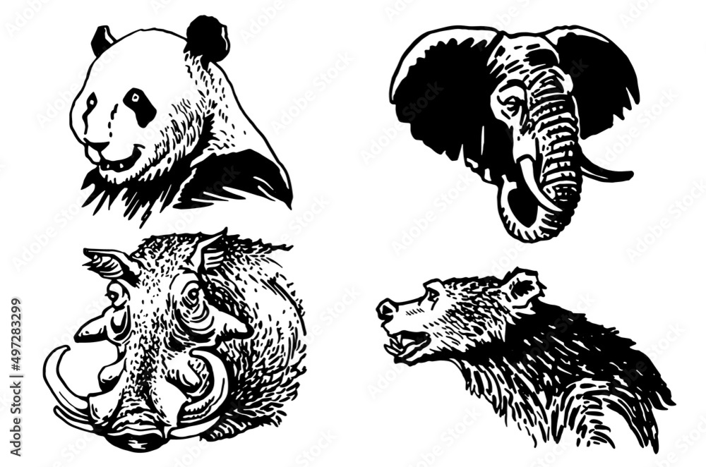 Graphical collection of African animals isolated on white background ...