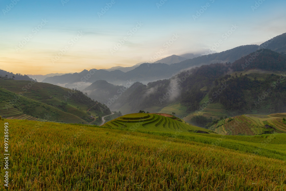 Green terraced rice fields in rainy season at Mu Cang Chai, Vietnam ...