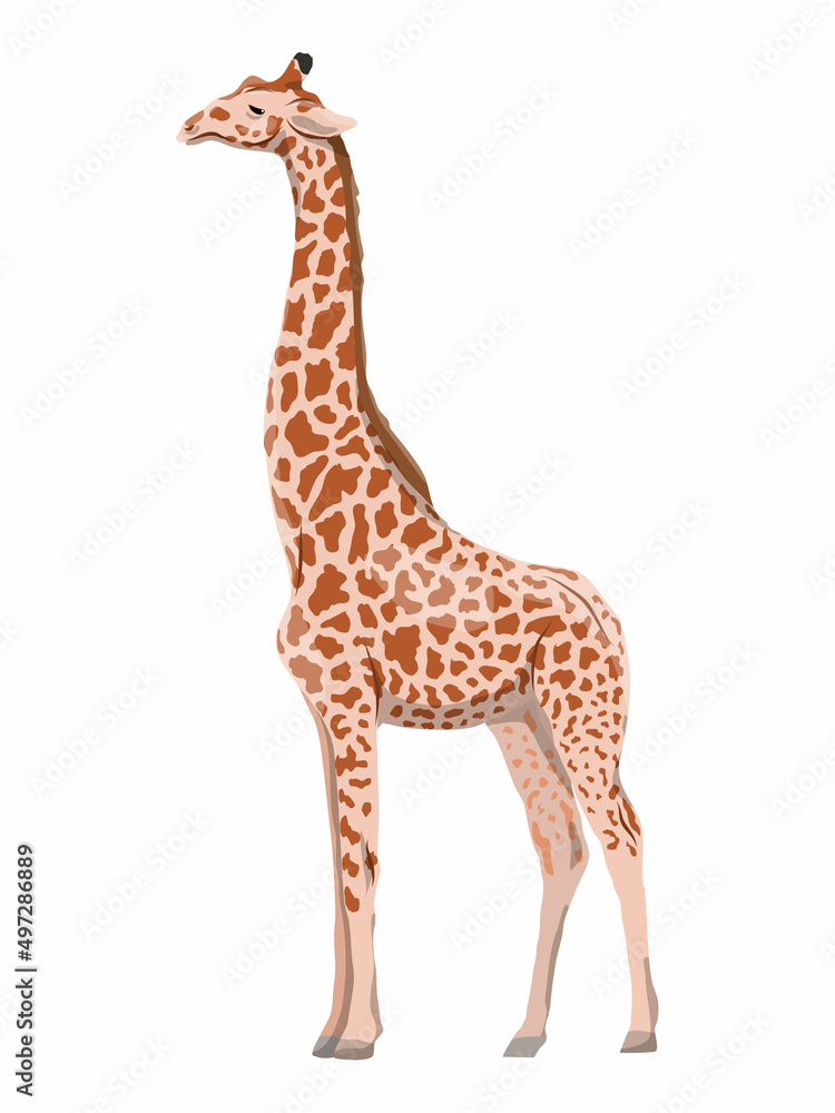 Giraffe sideways. wild animals of africa. realistic vector animal Stock ...