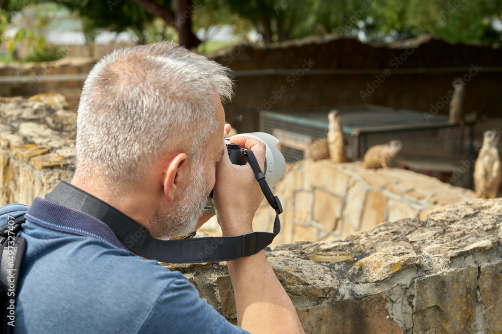 Photographing animals with a long-focus lens. An adult man photographs ...