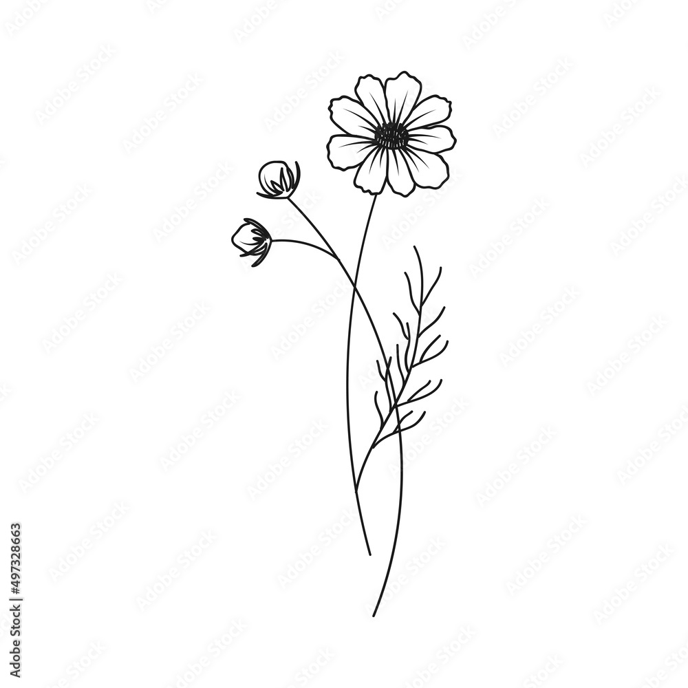Cosmos October Birth Month Flower Illustration Stock Vector | Adobe Stock