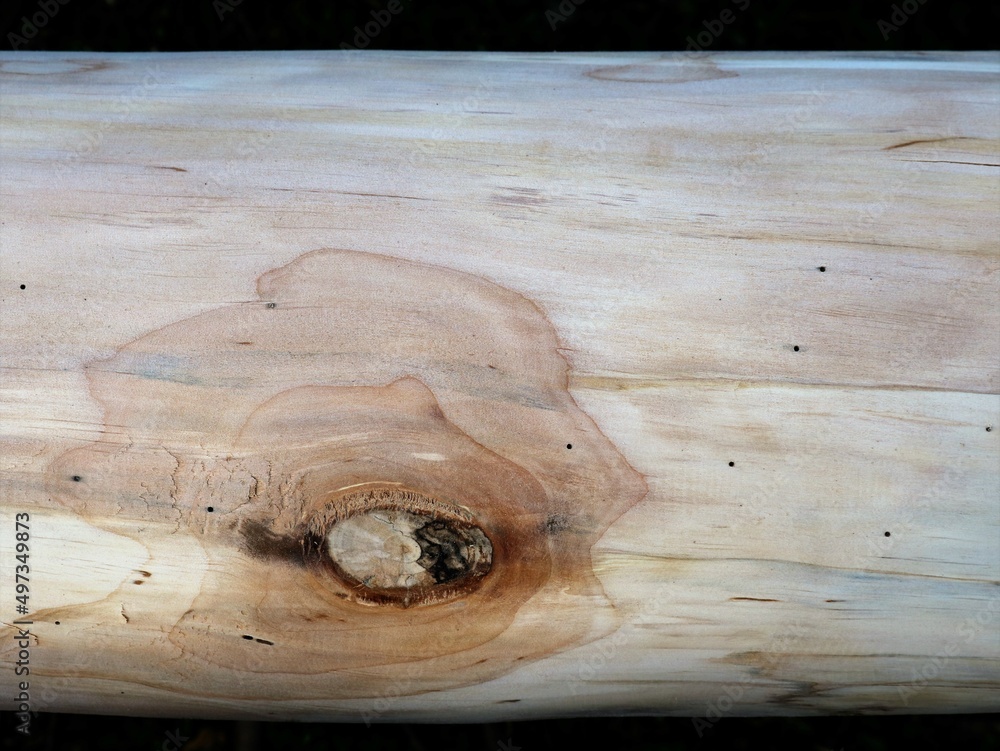 wood graphic resource with detailed knot and polished log surface ...