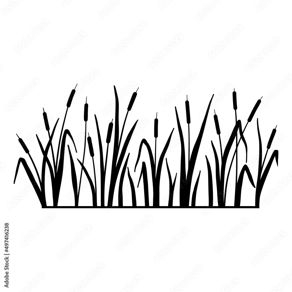 Reed silhouette. Vector illustration isolated on white background ...