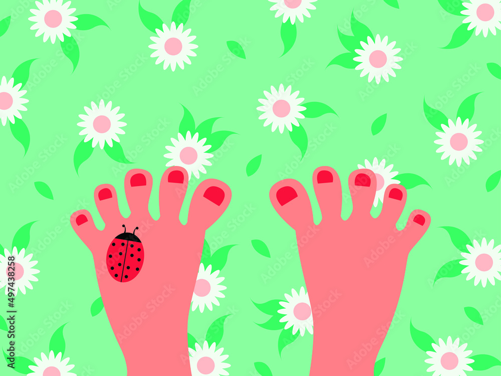 Two women's feet are standing on the green grass with daisies in close ...