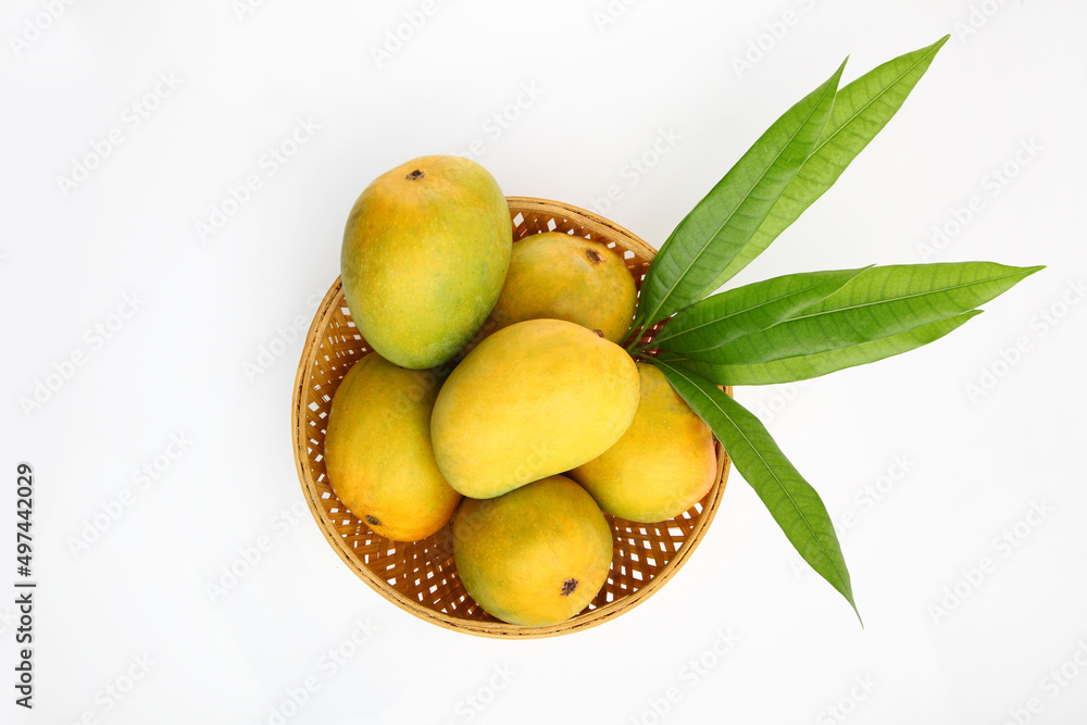 King of fruits; Alphonso Mango fruit with green leaf isolated on white ...