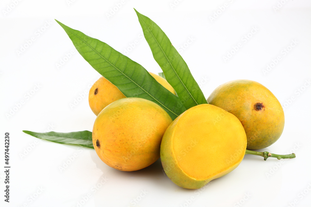 King of fruits; Alphonso Mango fruit with green leaf isolated on white ...