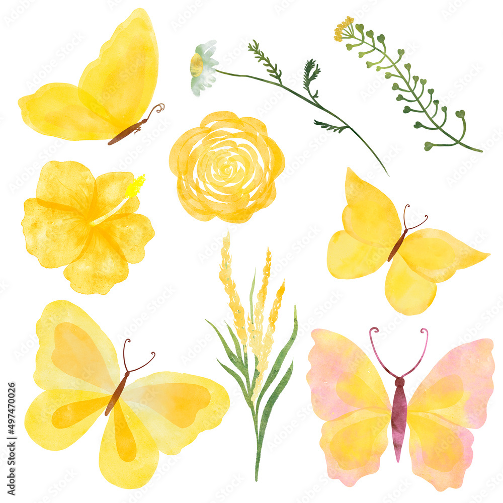Watercolor colorful Summer butterfly isolated on white background ...