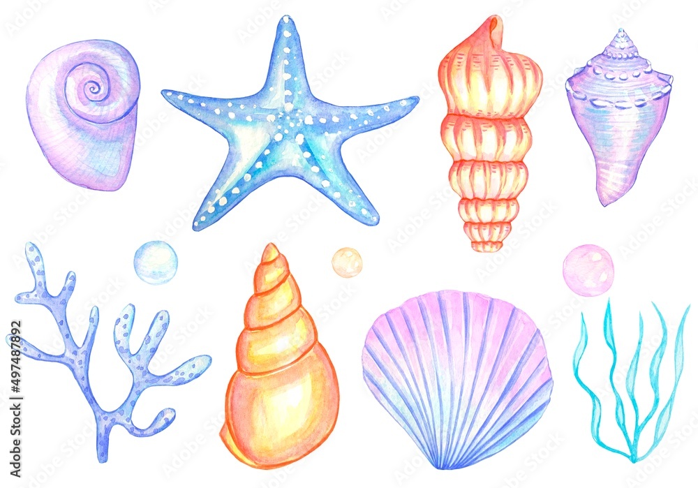 Watercolor set of seashells isolated on white background Stock ...