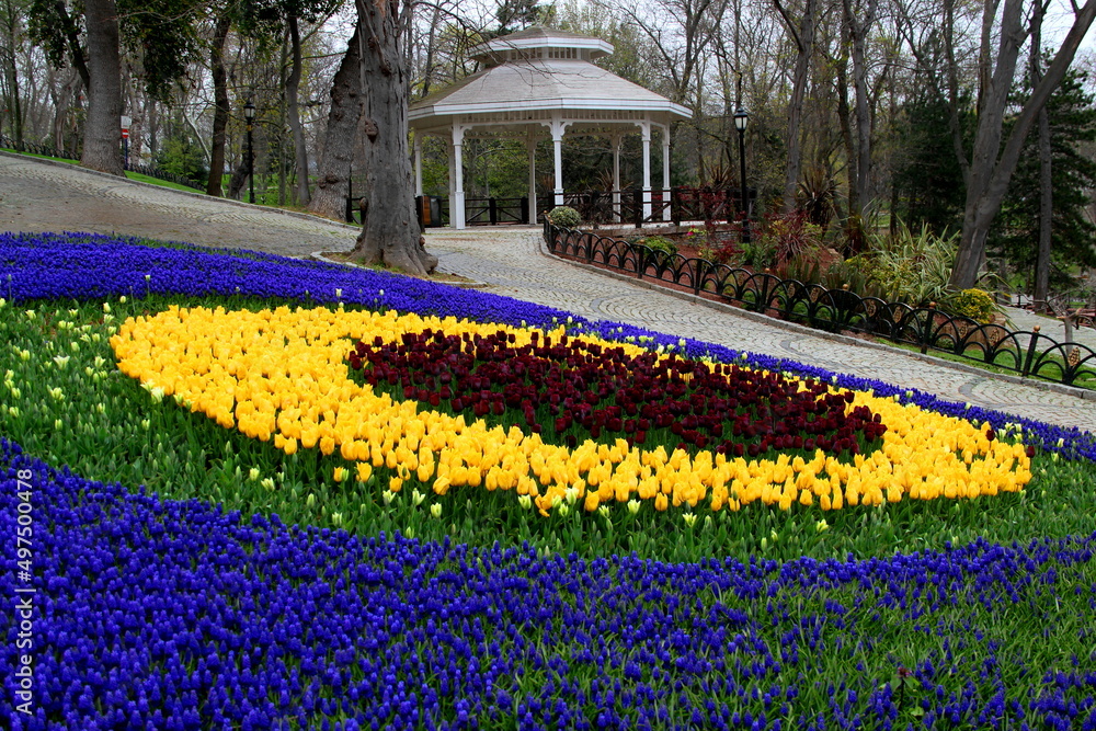 Pavilion among a park with a meadow with thousands of yellow and ...