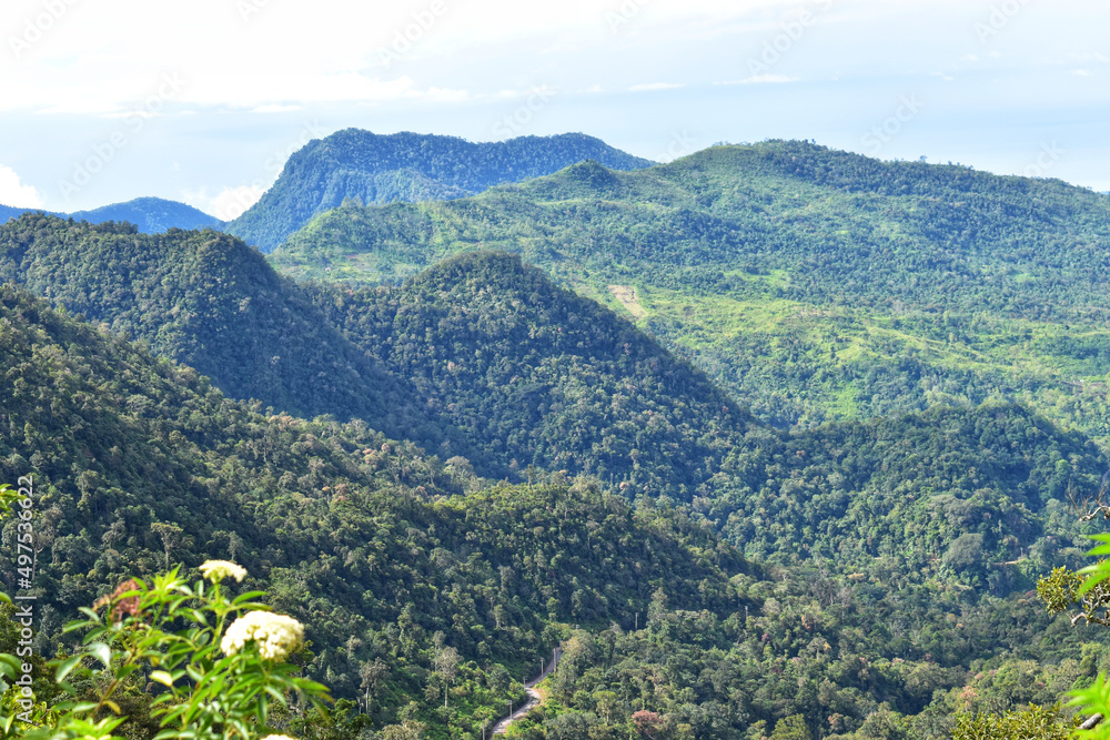 Scenery of hills with forests in Ruteng, Manggarai, Flores, Indonesia ...