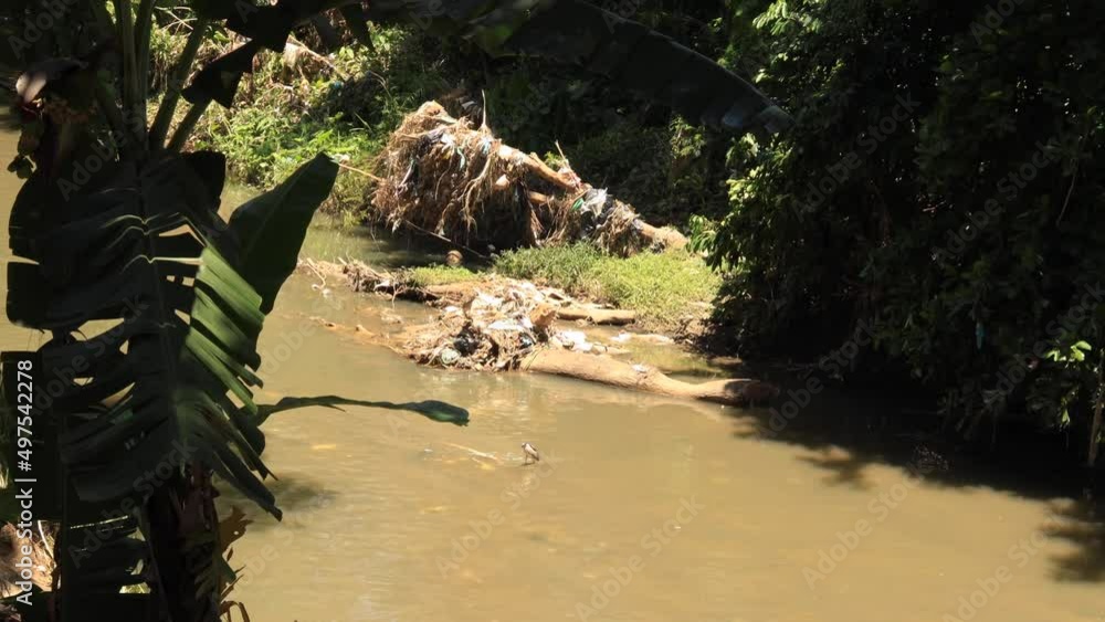 Tropical planting and destroyed riverbank with non-biodegradable ...