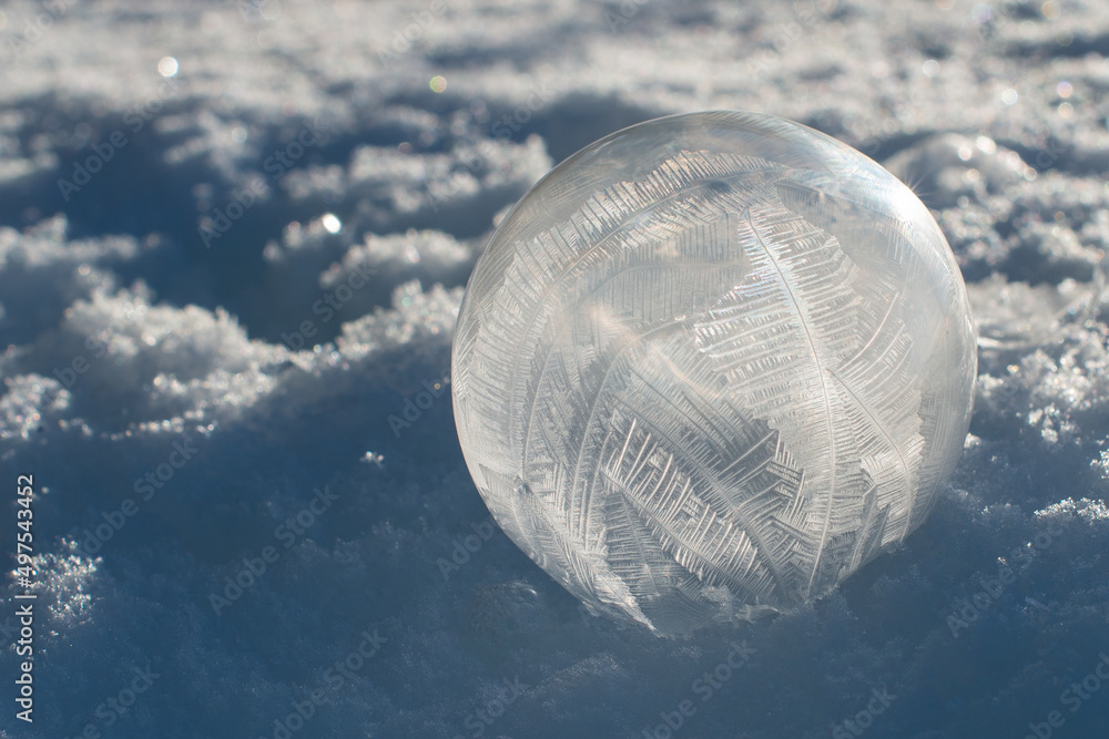A single crystalline translucent thin shelled ice bubble frozen with ...