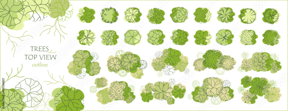 Vetor de Set of vector trees. Entourage design. Various trees, bushes ...
