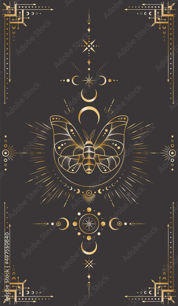 Vector mystic celestial background with golden outline insect, stars ...
